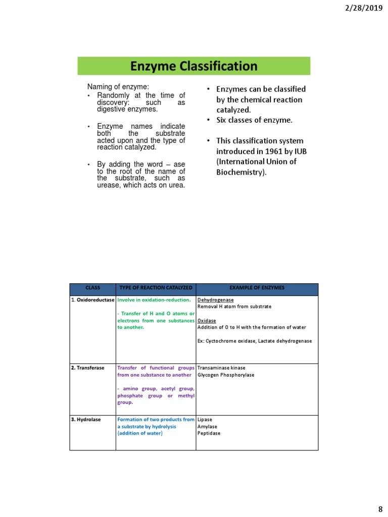Enzyme Classification: Class Type of Reaction Catalyzed Example of ...