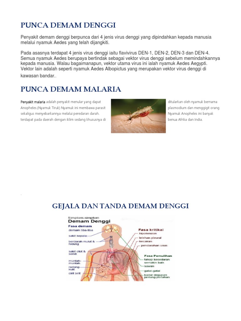 Punca dan Gejala Demam Denggi | PDF