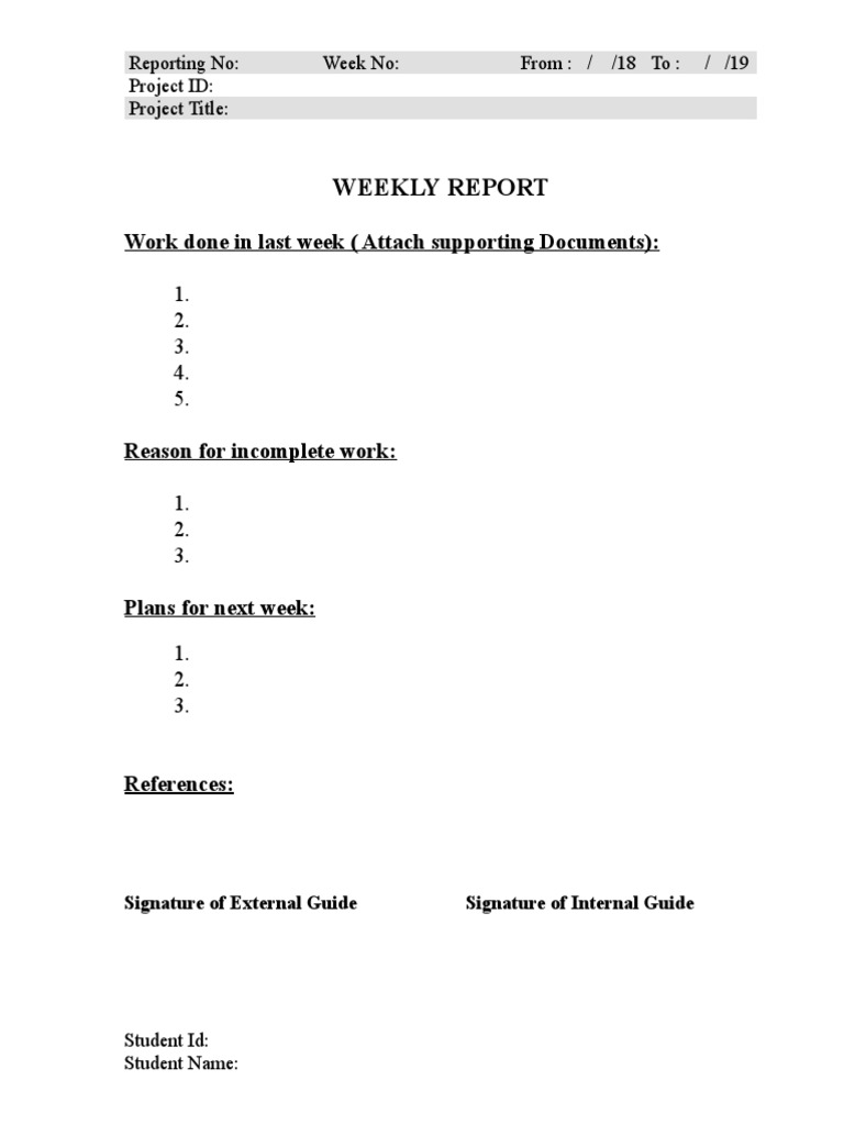 Weekly Report Format | PDF