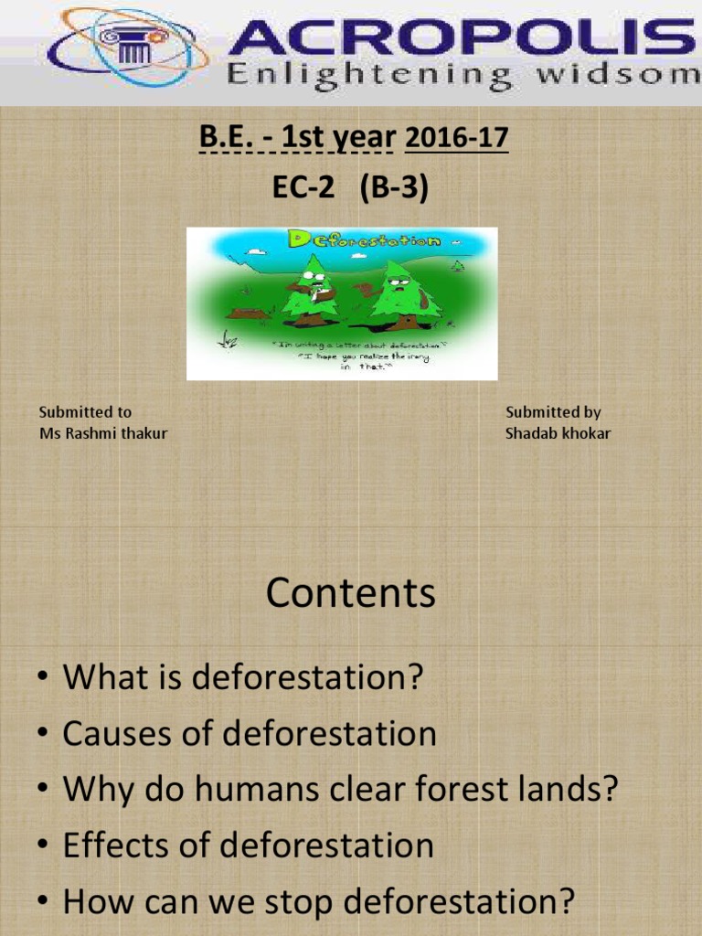 A Presentation On Deforestation Pdf Deforestation Logging