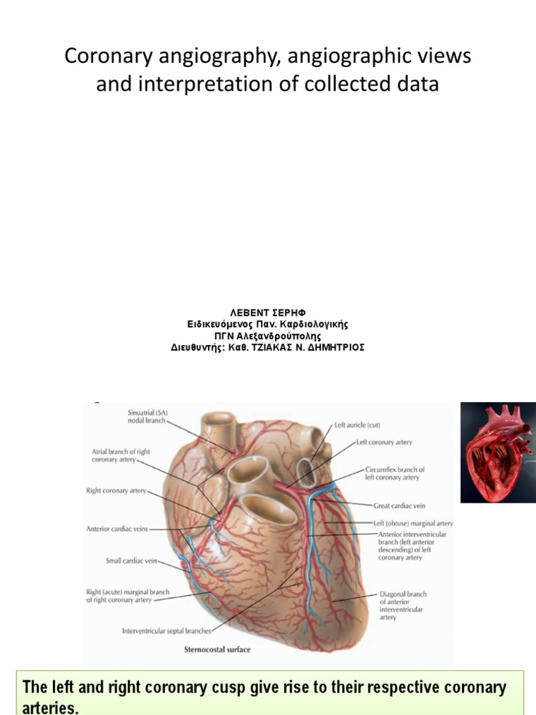Angiographic Views and Nomencluture PDF | PDF | Coronary Circulation ...