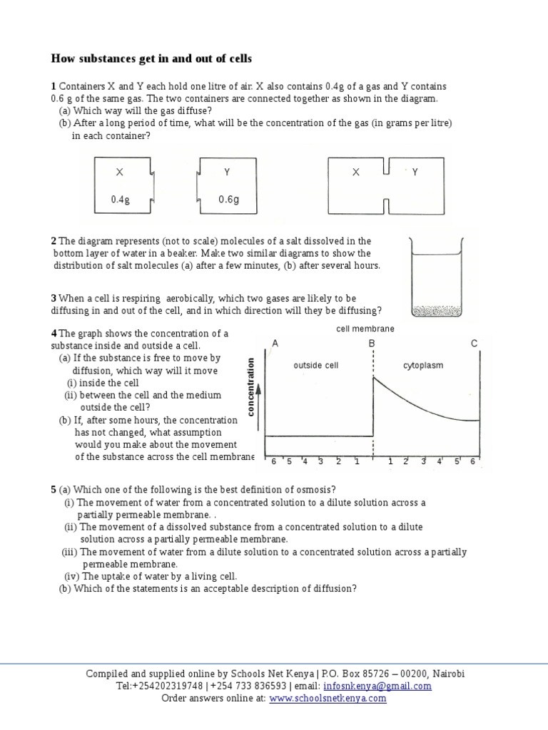 Osmosis and Diffusion Practice Worksheet | PDF | Osmosis | Cell Membrane