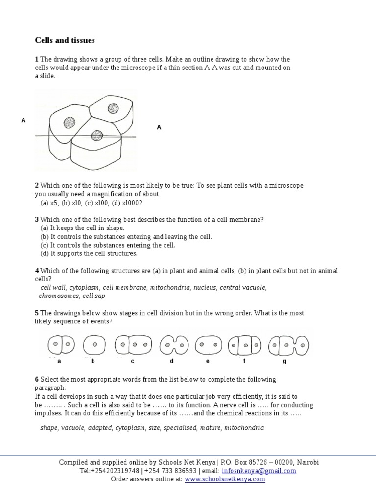 Cell and Tissue Question | PDF