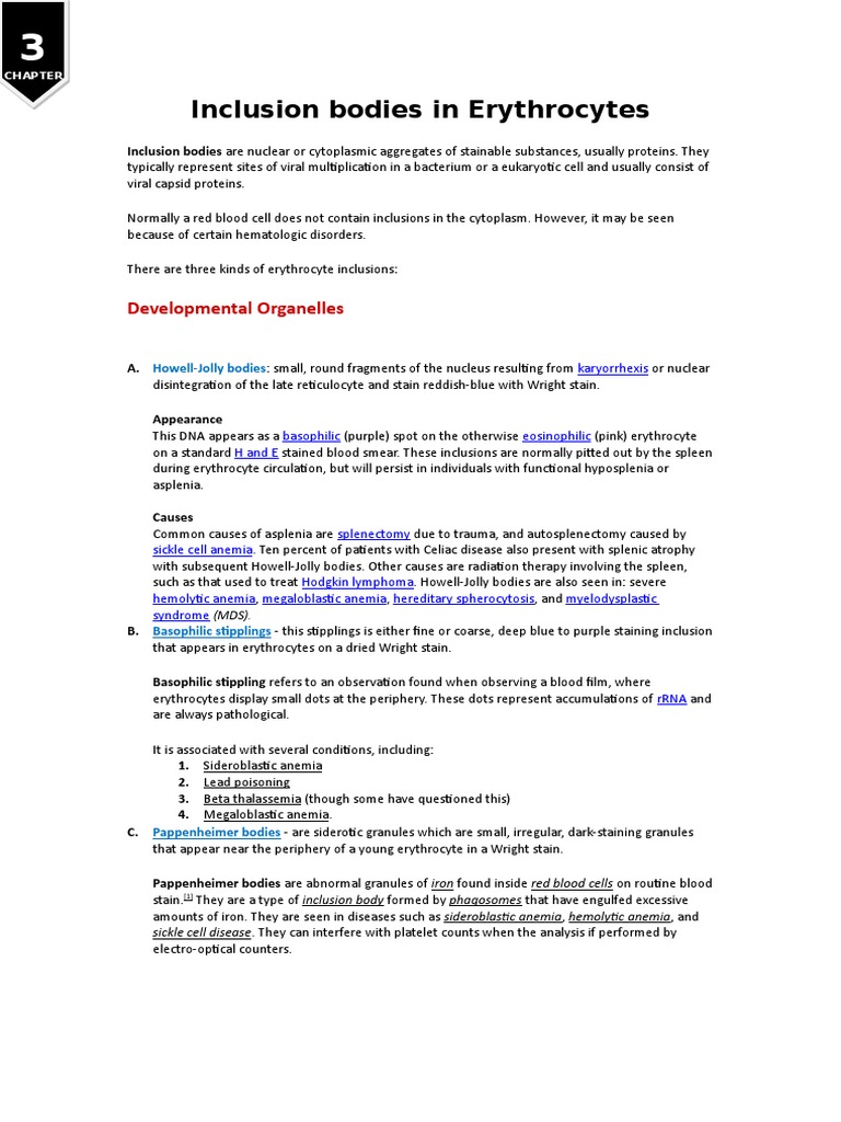 Erythrocyte Inclusion Bodies Guide | PDF | Anemia | Hematology