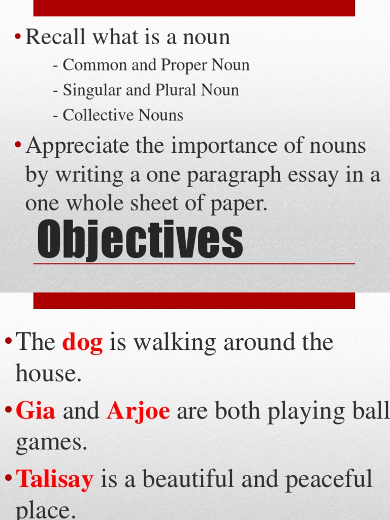 (Nouns) Review Lesson | Download Free PDF | Plural | Noun