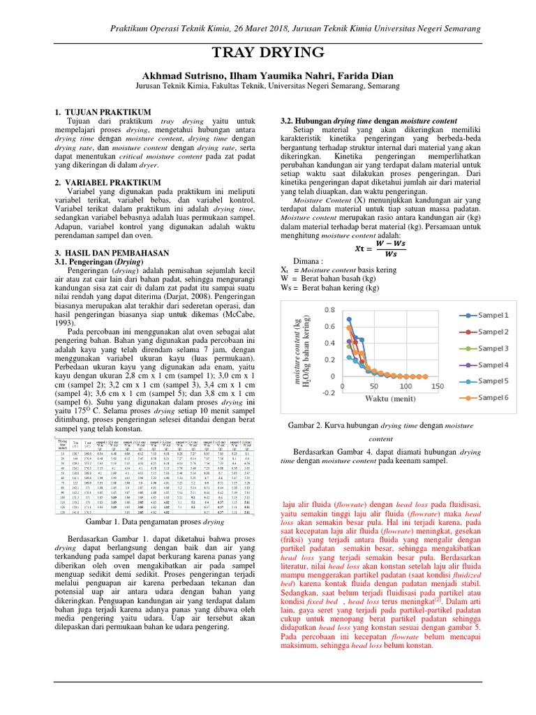 Laporan Otk Tray Drying | PDF