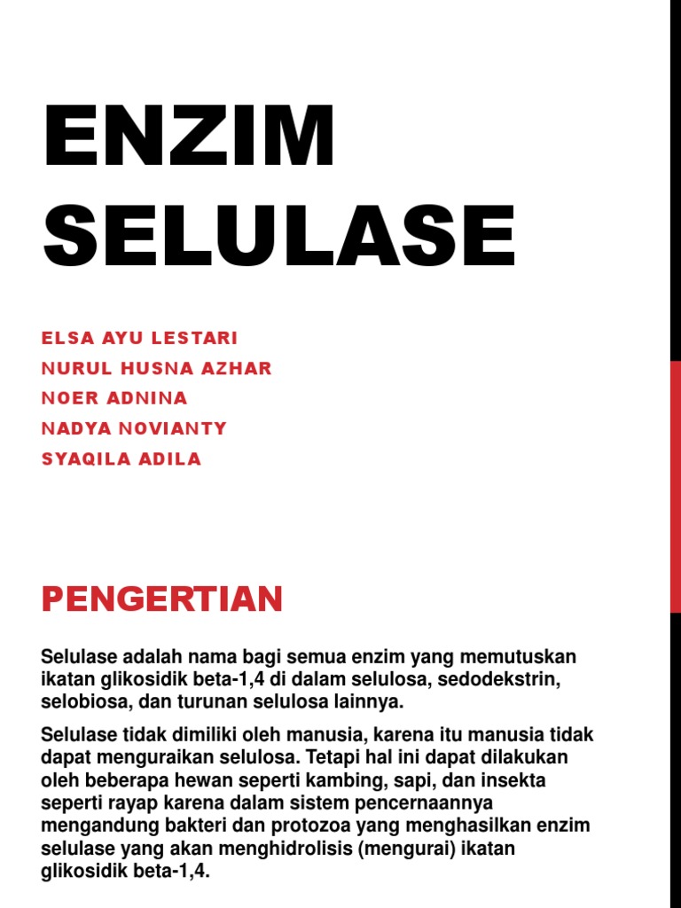Fungsi dan Produksi Enzim Selulase | PDF