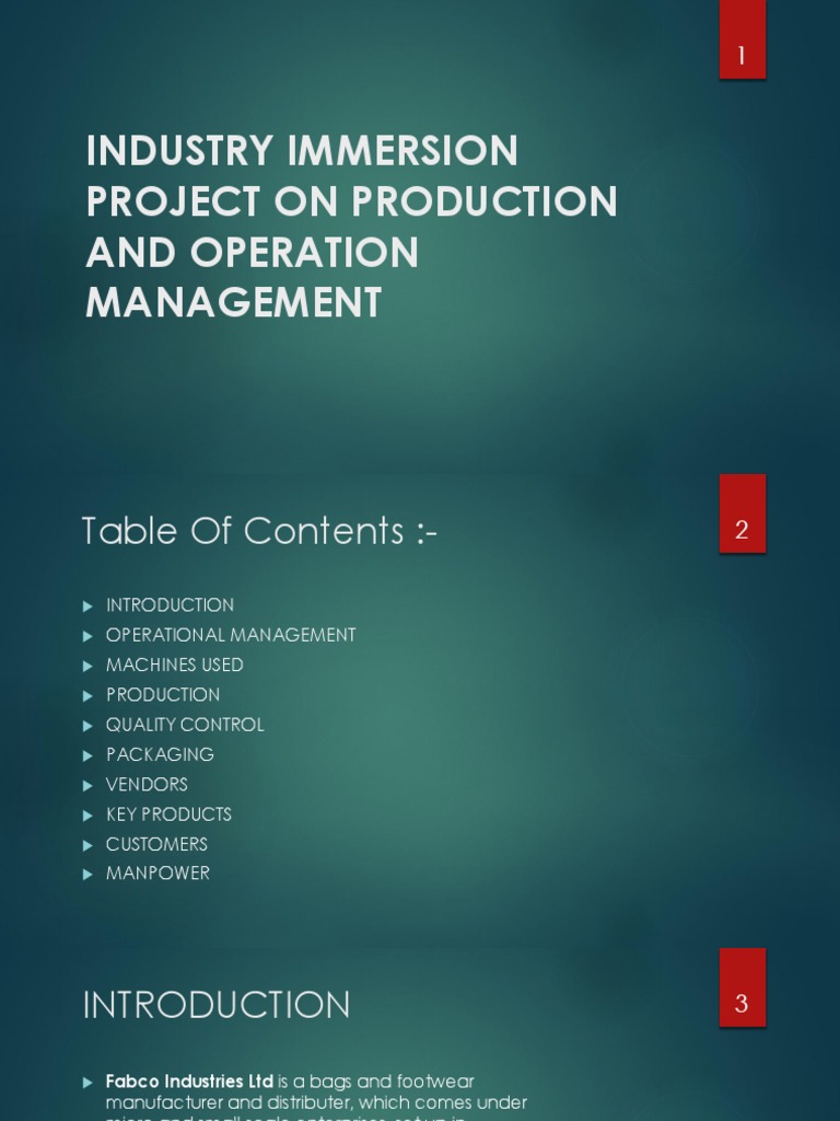 Industry Immersion Project On Production and Operation Management | PDF ...