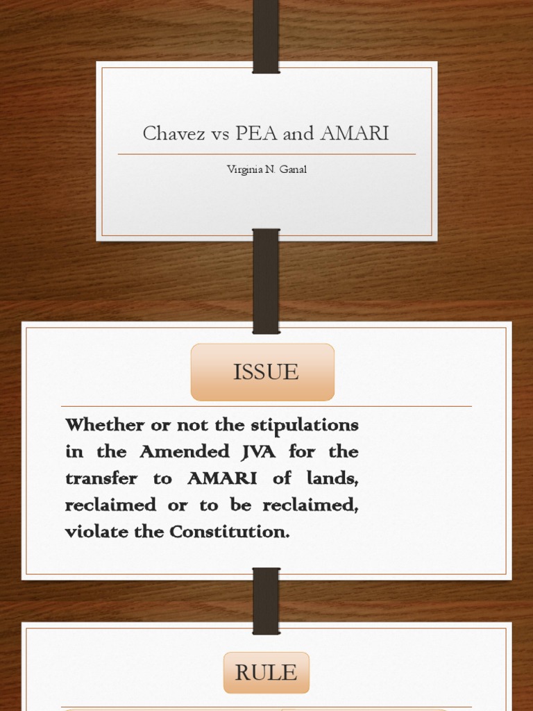 Chavez vs. PEA Amari Nov 2003 | PDF | Constitutional Law | Government ...