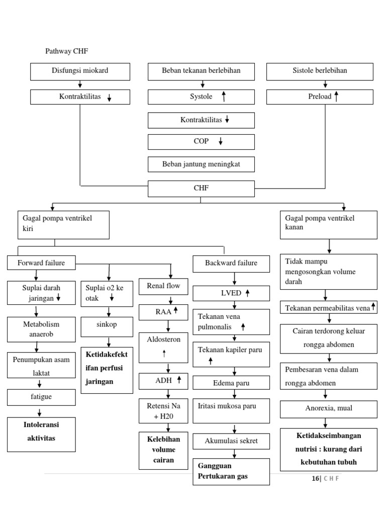 Pathway CHF | PDF