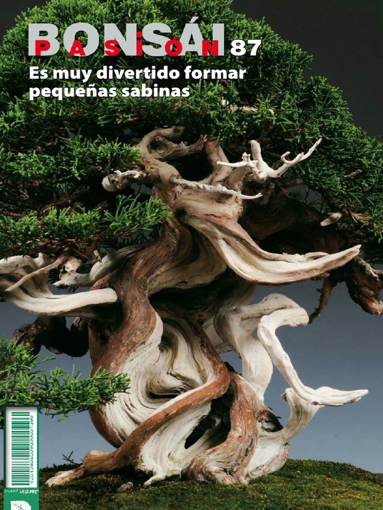 Bonsai Pasion - 87 PDF | PDF