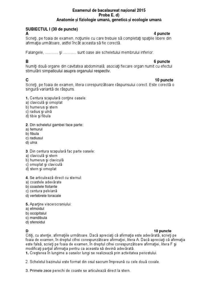 Anatomie Bac Schelet | PDF