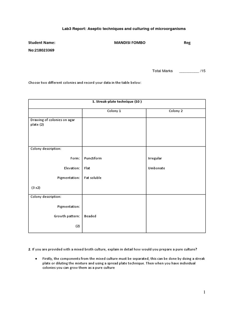 Lab3 Report Template MANDISI FOMBO | PDF Lab3 Report Template MANDISI FOMBO | PDF