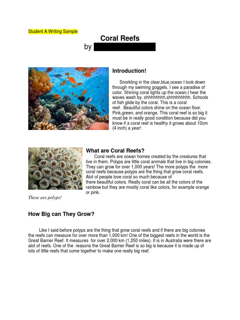 Informational Writing | PDF | Coral Reef | Writers