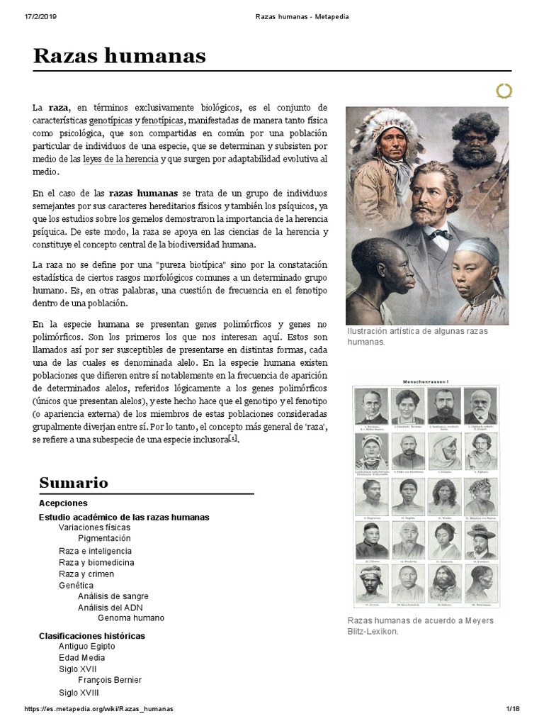 Razas Humanas - Metapedia | PDF | Raza (categorización humana) | Biología