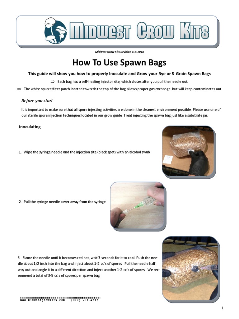 How To Use Spawn Bags: This Guide Will Show You How To Properly Inoculate and Grow Your Rye or 5 ...