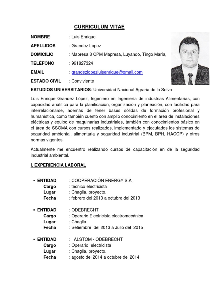 Curriculum Tio Lucho | PDF | Ingeniería | Minería