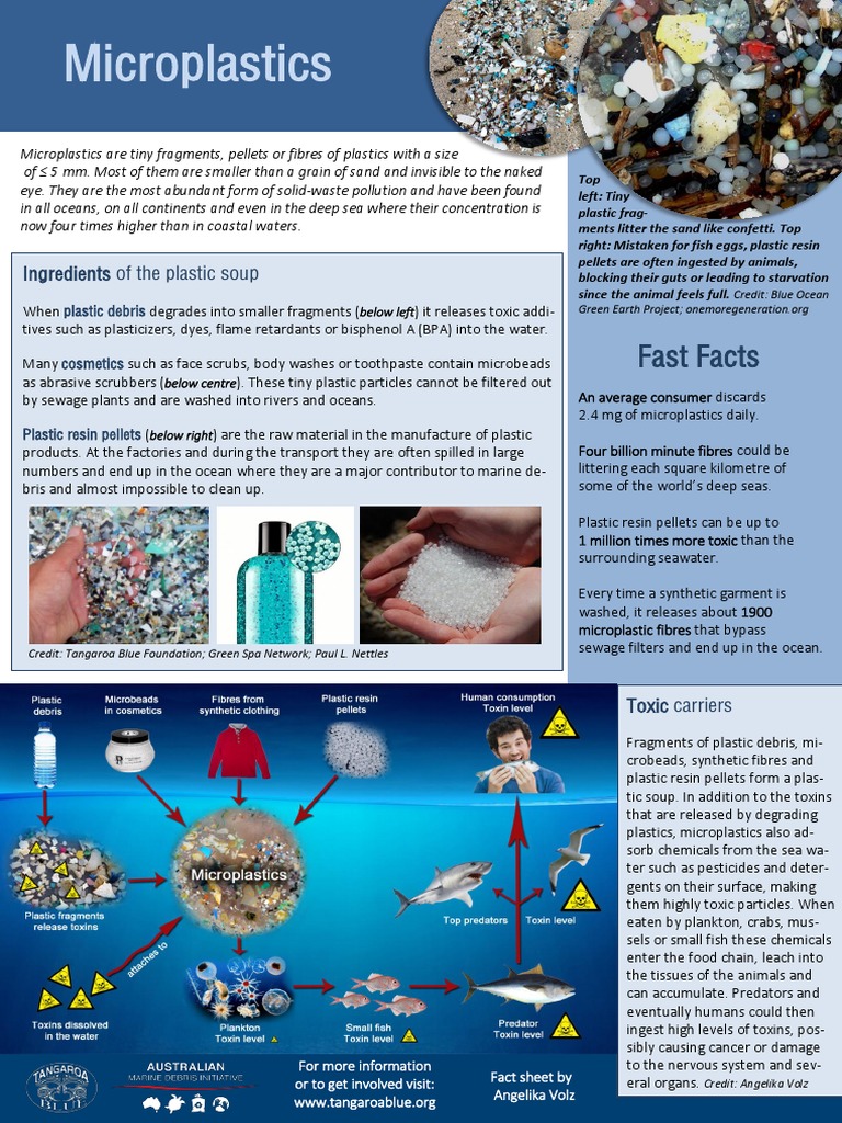 Micro Plastics | PDF | Environmental Science | Pollution