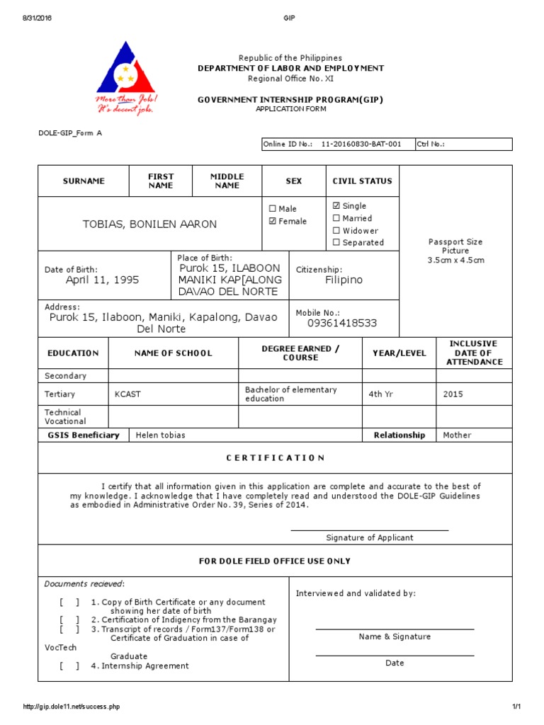 Government Internship Program | PDF | Government And Personhood