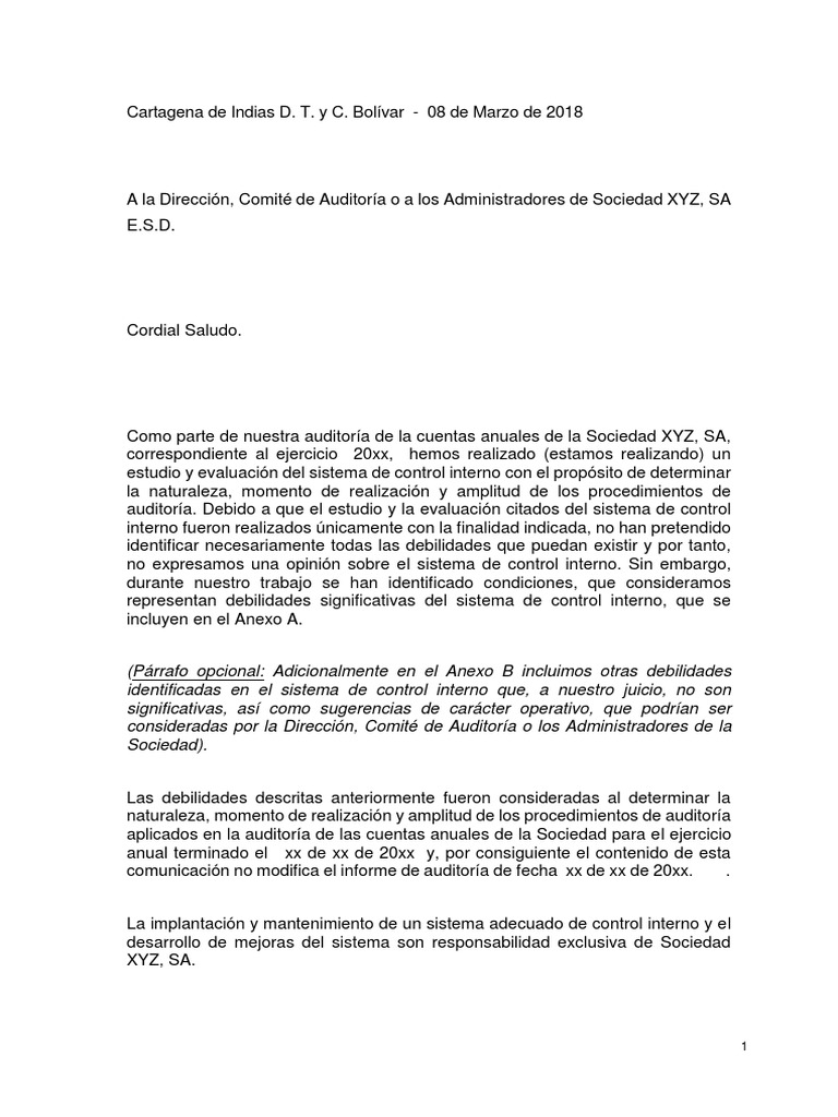 Ejemplo NIA 265 | PDF | Auditoría | Business