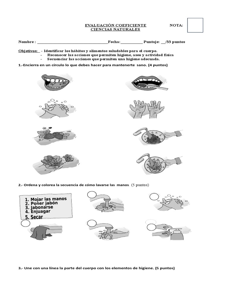 Prueba Ciencias Cuidado Del Cuerpo | PDF