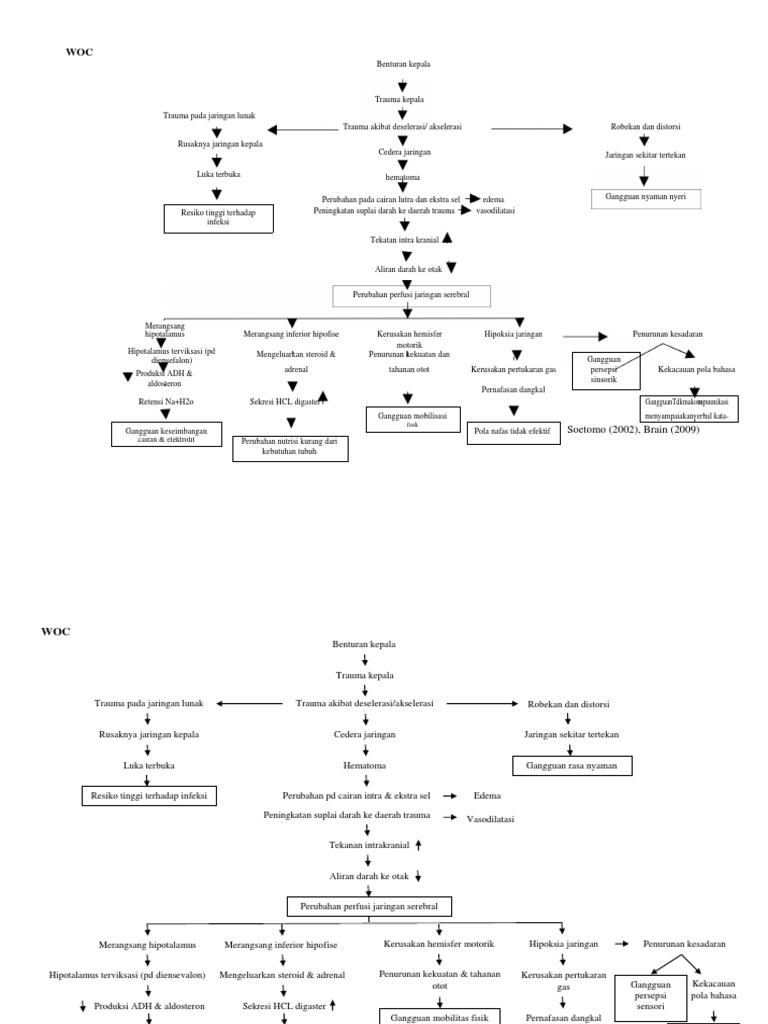 Pathway Trauma Kepala dan WOC | PDF