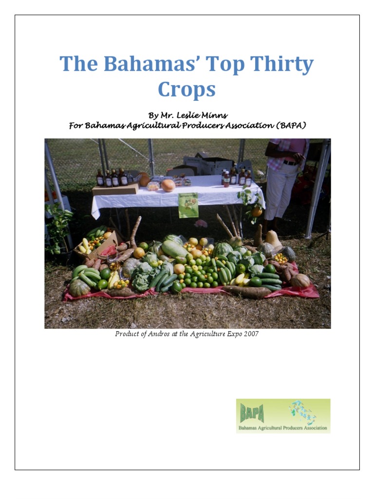The Top 30 Crops in the Bahamas and Their Import Potential | PDF ...