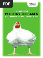 Medicine Chart For Chickens PDF | PDF | Medical Diagnosis | Health Sciences