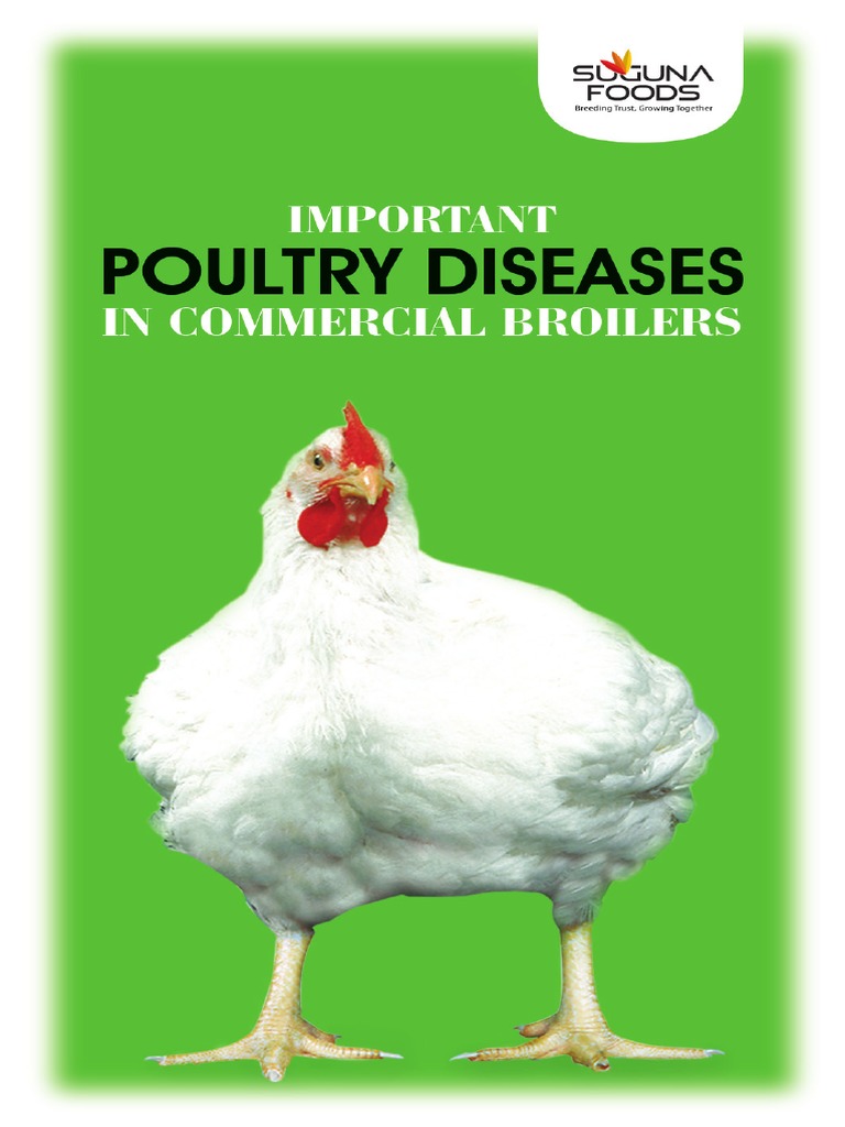 Pocket Book Poultry Diseases | PDF | Poultry Farming | Lung