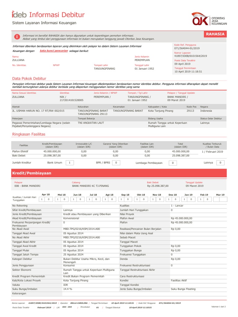 Contoh Hasil Slik Ojk | PDF