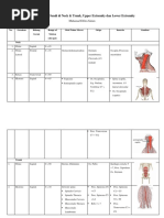 Rom Isom | PDF | Human Anatomy | Limbs (Anatomy)