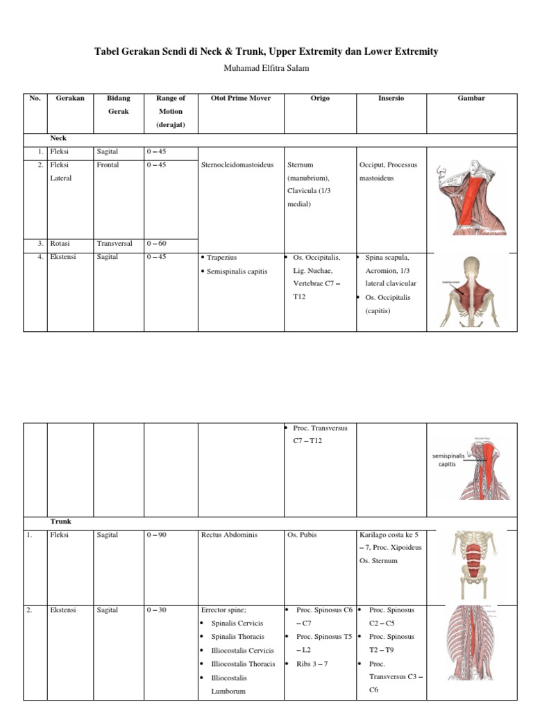 Tabel Gerakan Sendi Di Neck & Trunk, Upper Extremity Dan Lower ...