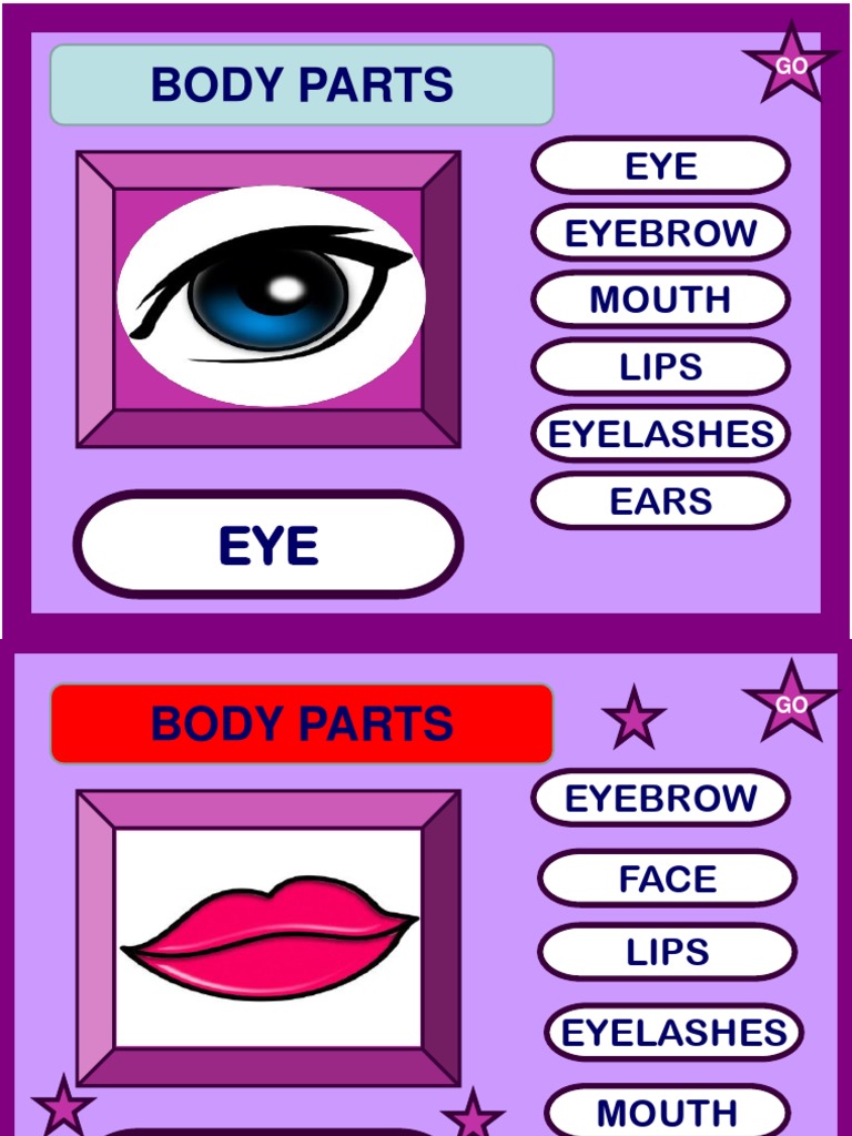 Body Parts: EYE Eyebrow Mouth Lips Eyelashes Ears | PDF