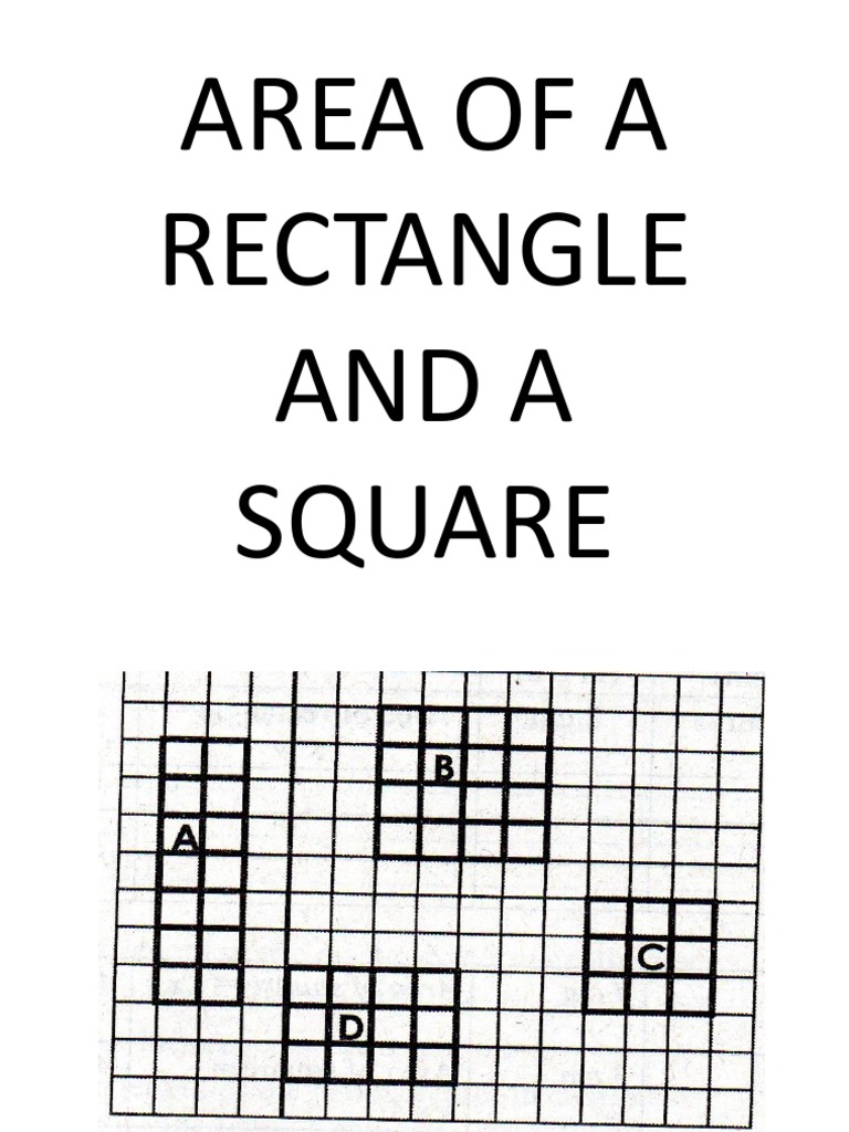 Calculating Areas of Rectangles and Squares: A Guide to Finding the ...
