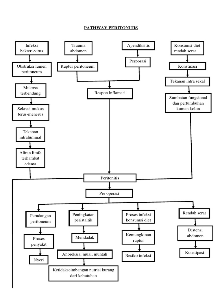 Pathway Peritonitis Dan Hepatitis | PDF