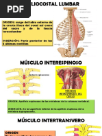 Irrigación Del Esofago | PDF | Tracto gastrointestinal | Estómago