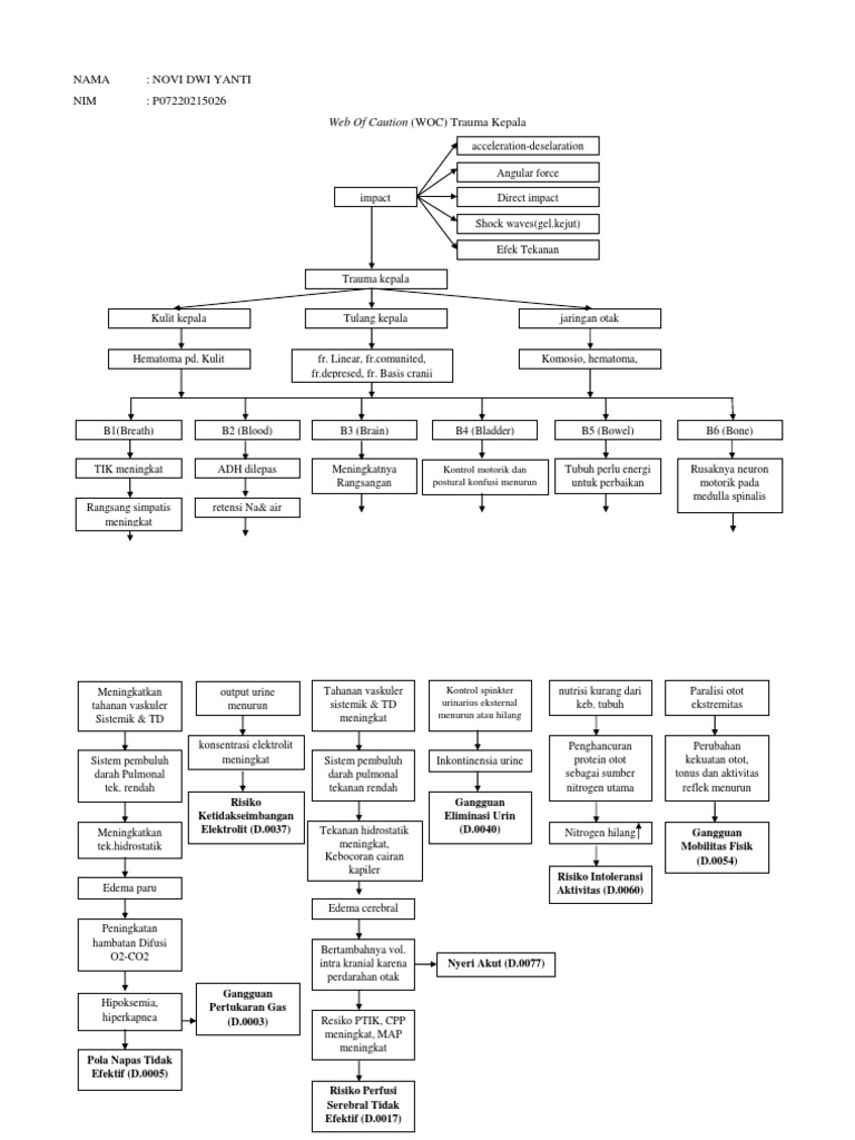 WOC Trauma Kepala | PDF