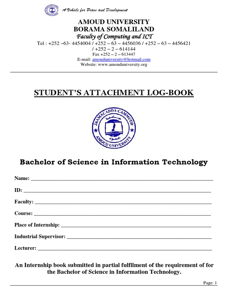 IT Internship Logbook Guide | PDF