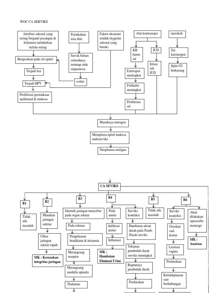 Woc CA Serviks | PDF