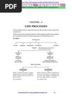 Class 10 Life Process Mind Map and Notes | PDF | Social Science ...