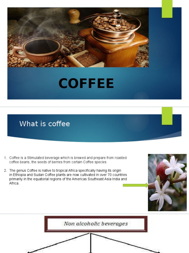 Wa0003 | PDF | Coffee | Agronomy