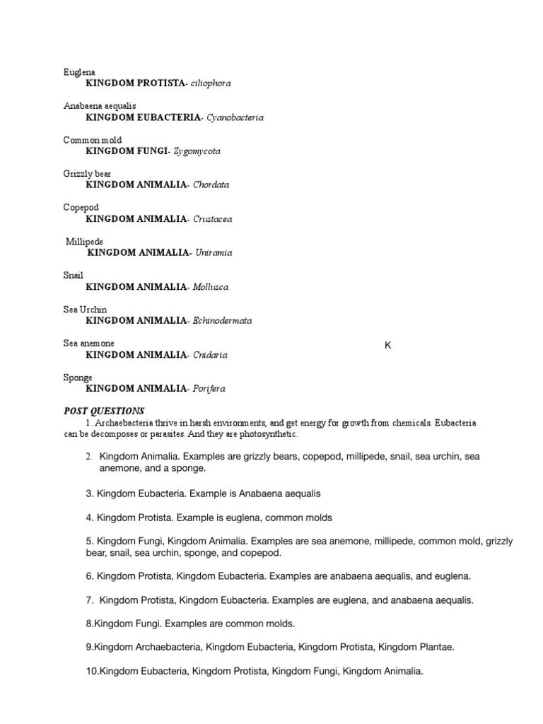 Classification Lab | PDF