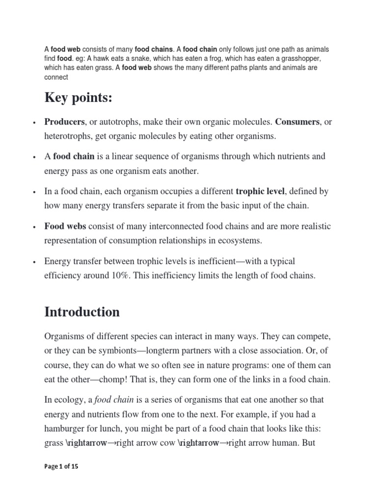 Food Chain and Food Web | PDF | Food Web | Organisms