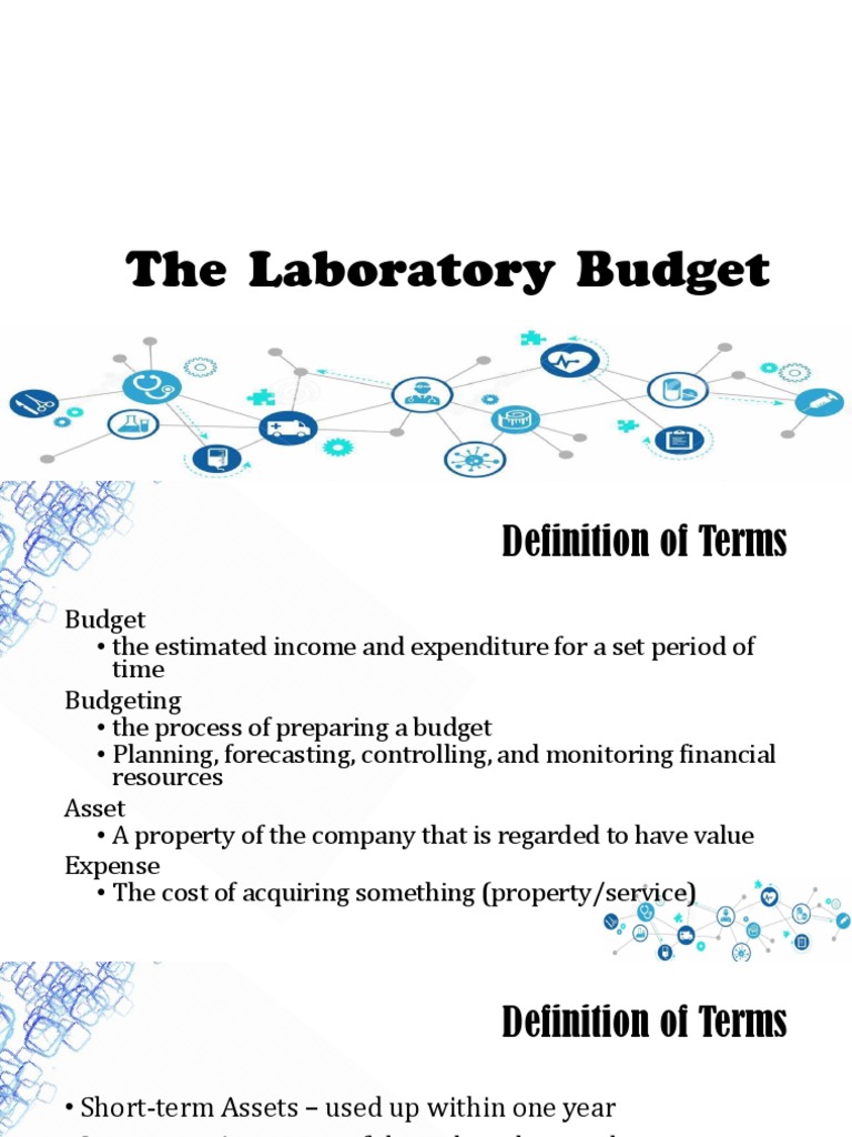 The Laboratory Budget | PDF | Capital Expenditure | Expense