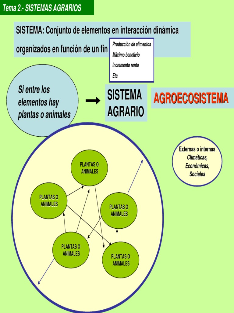 04 Agrosistemas | PDF | Biodiversidad | Agricultura