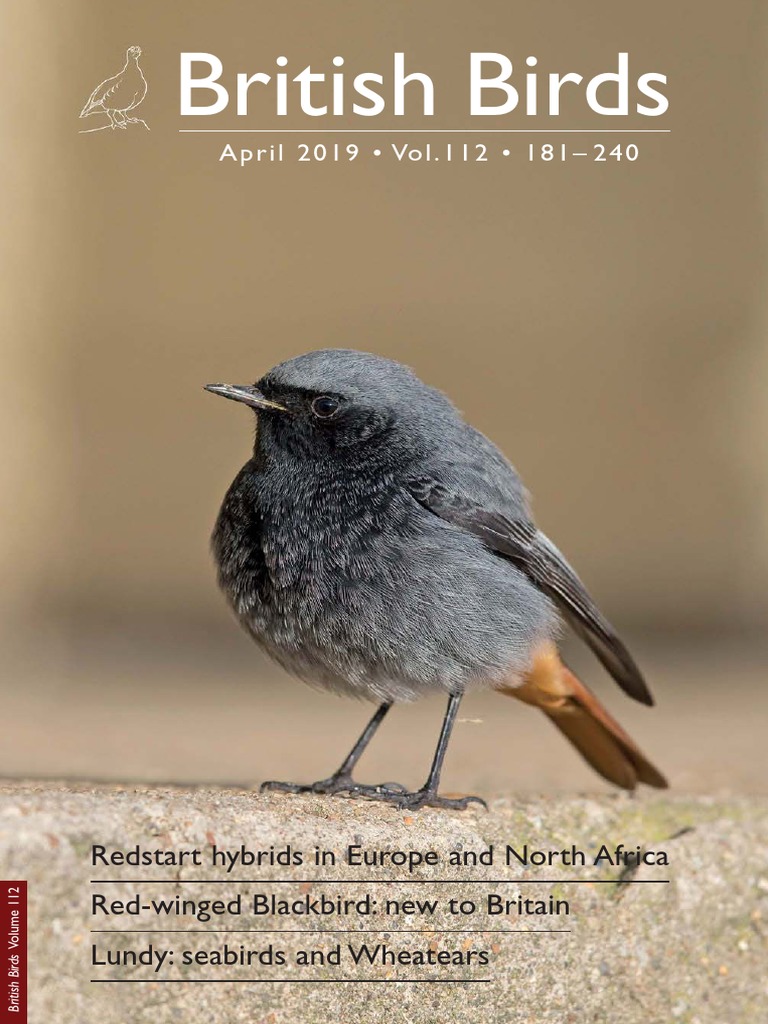 British Birds - April 2019 PDF | PDF | Birdwatching | Paravians