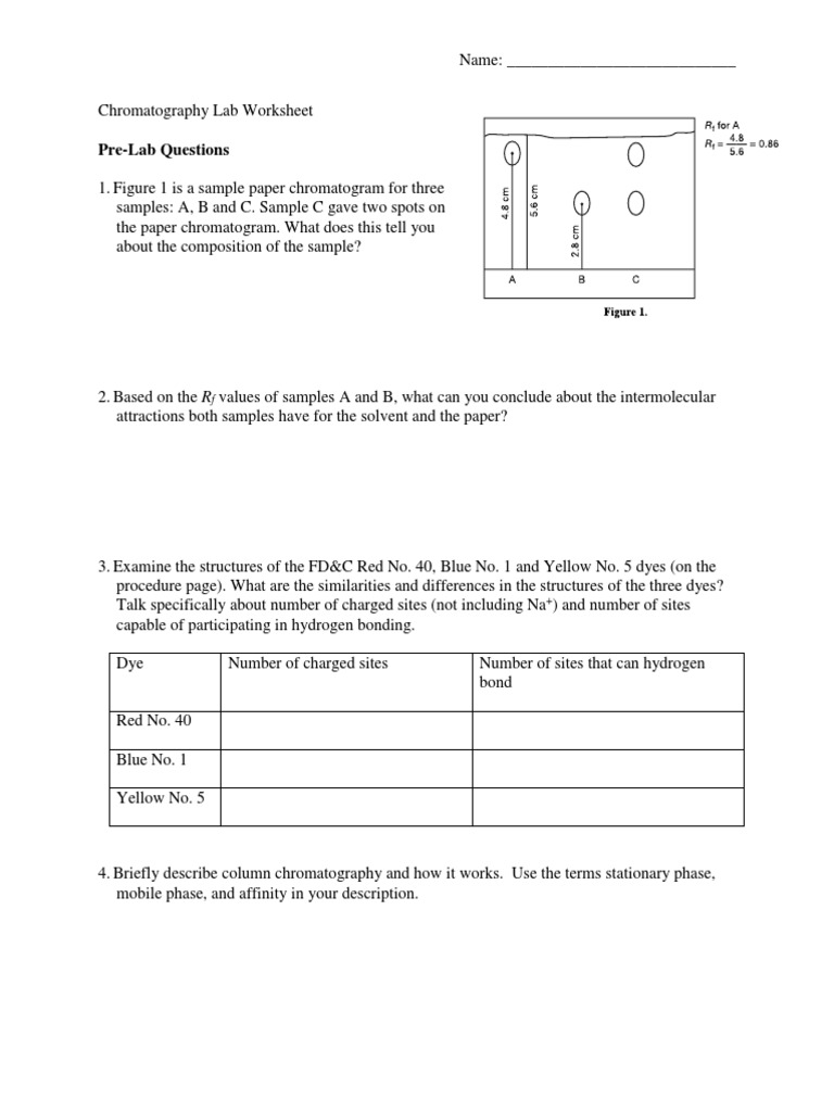Chromatography Lab Worksheet | PDF | Chromatography | Solvent