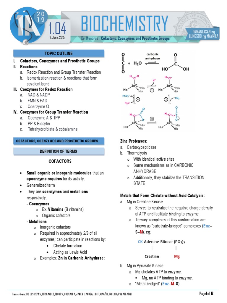 1.05 Biochemistry Trans - Coenzyme. Cofactors. Prosthetic Grps TRANS v2 ...