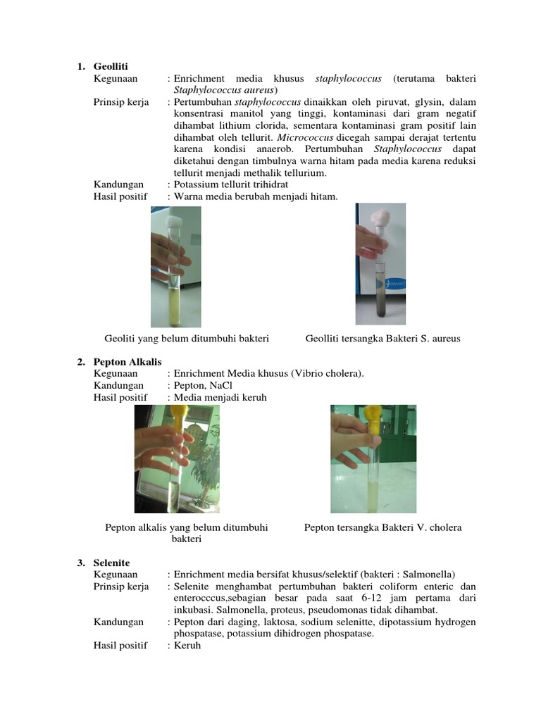 Macam-Macam Media | PDF | Memasak, Makanan, & Anggur | Kesehatan Holistik