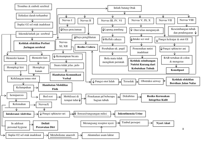 Pathway Stroke Infark | PDF